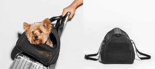 Bonefly Boneflex+ Ultra Baby Pink Collar, Silver / Clear – City Dog